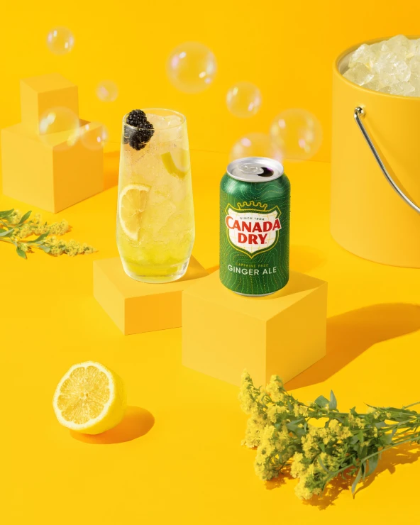 Lemon Fizz Recipe | Canada Dry